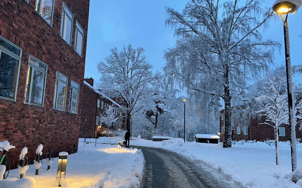 Getting to know – and love – the Swedish Winter – The KTH International ...