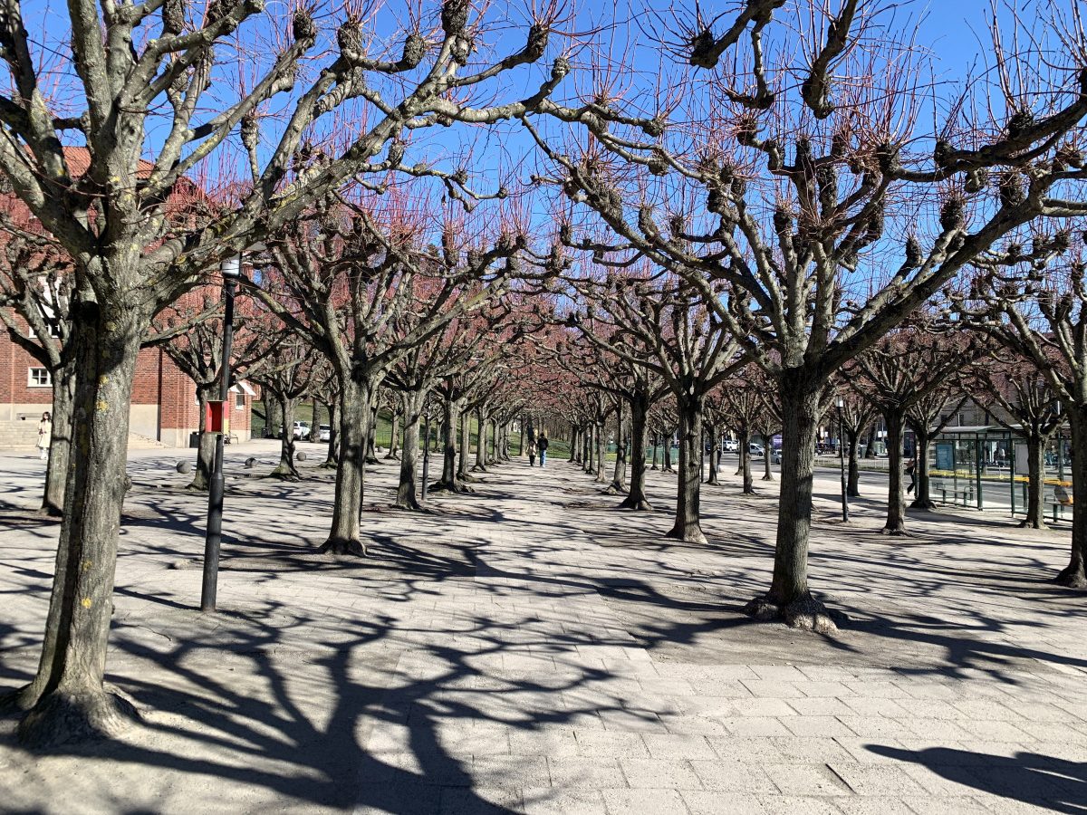 Congratulations on your admission! (Guide to KTH for international-admitted students) – The KTH ...