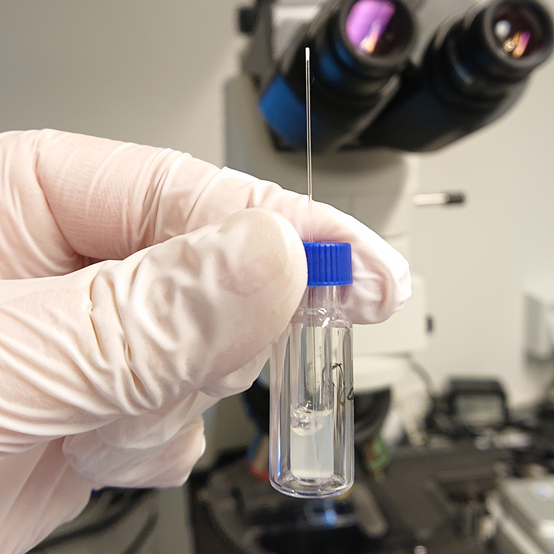 Non-hormonal gel proves effective at helping mucus block sperm | KTH