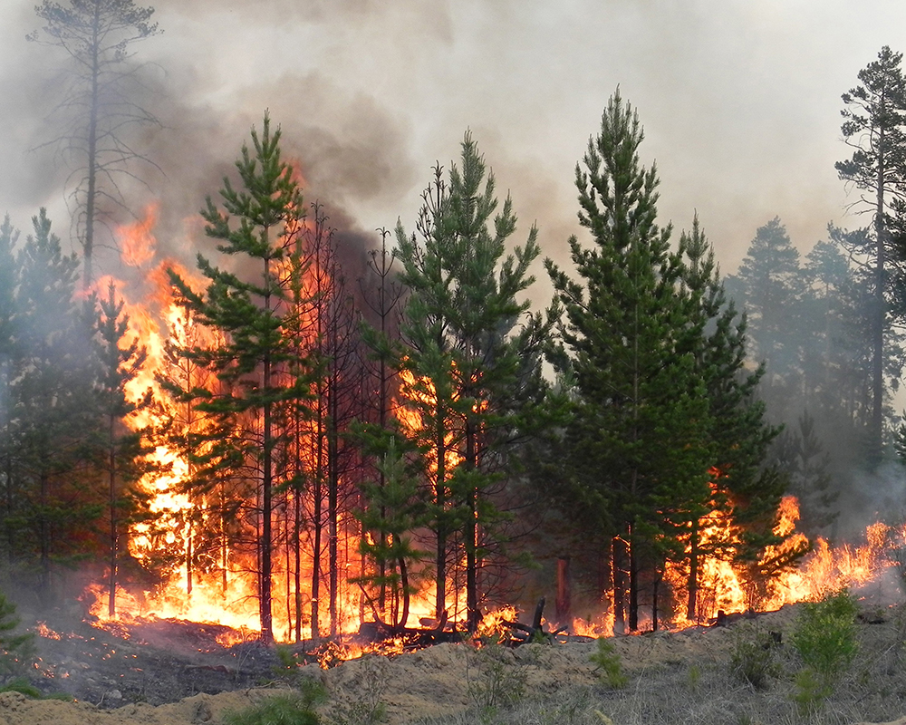 KTH technology to map fire risk at the square meter level | KTH