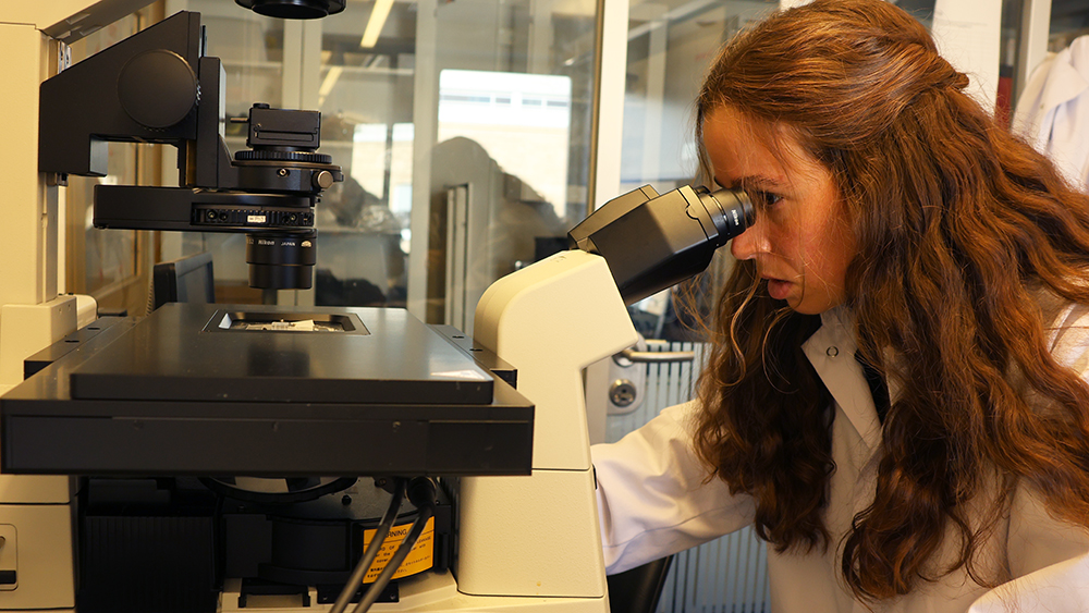 Ny metod att diagnostisera sepsis kan spara tid och bidra till att ...