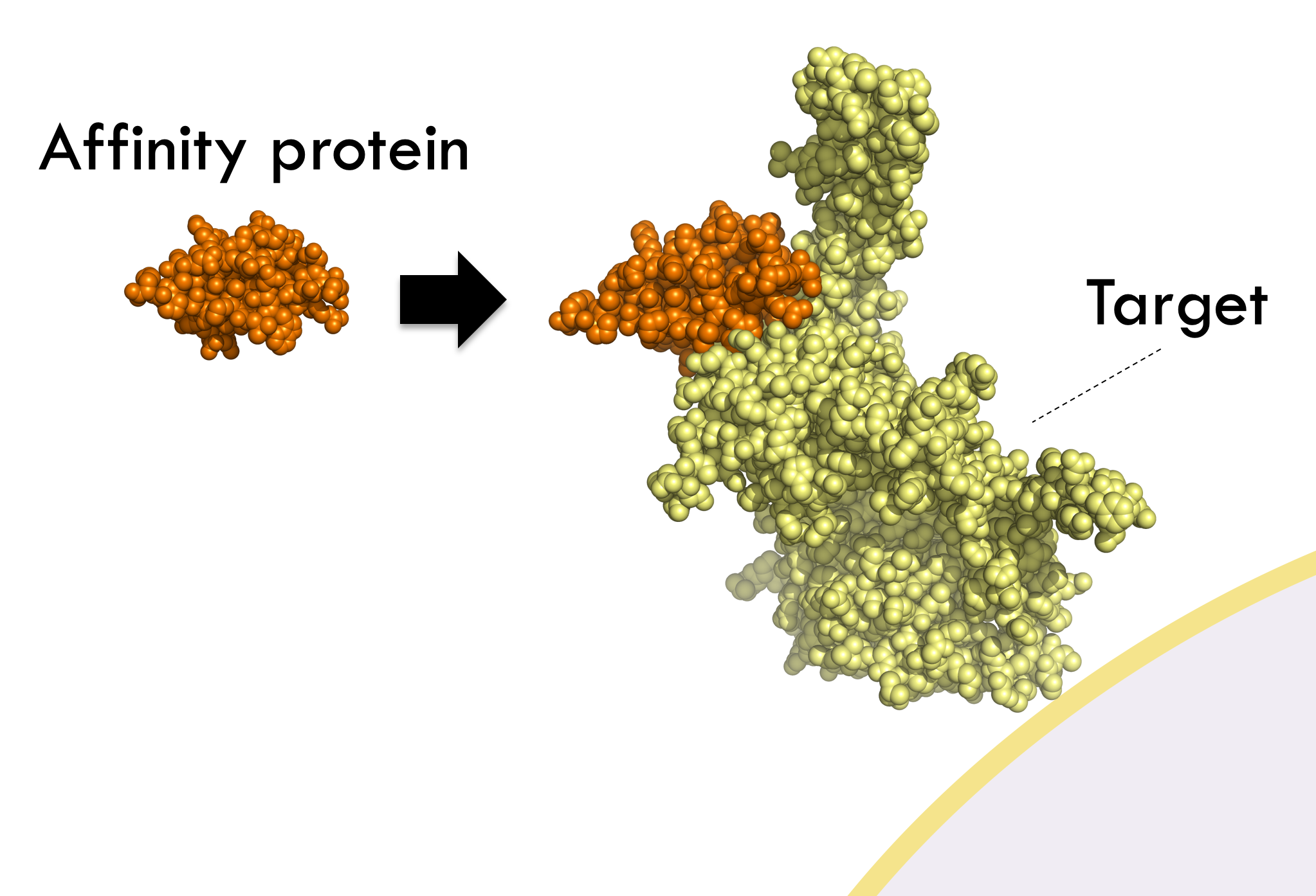 Protein Science | KTH